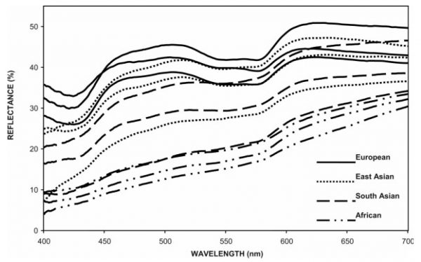 Skin reflectance | Lighting Analysts Skin reflectance | Lighting Analysts