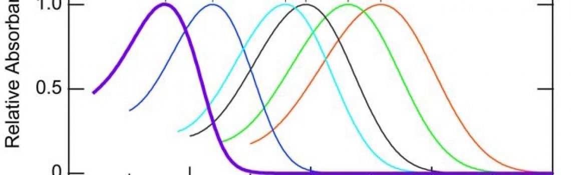 Seeing Ultraviolet | Lighting Analysts